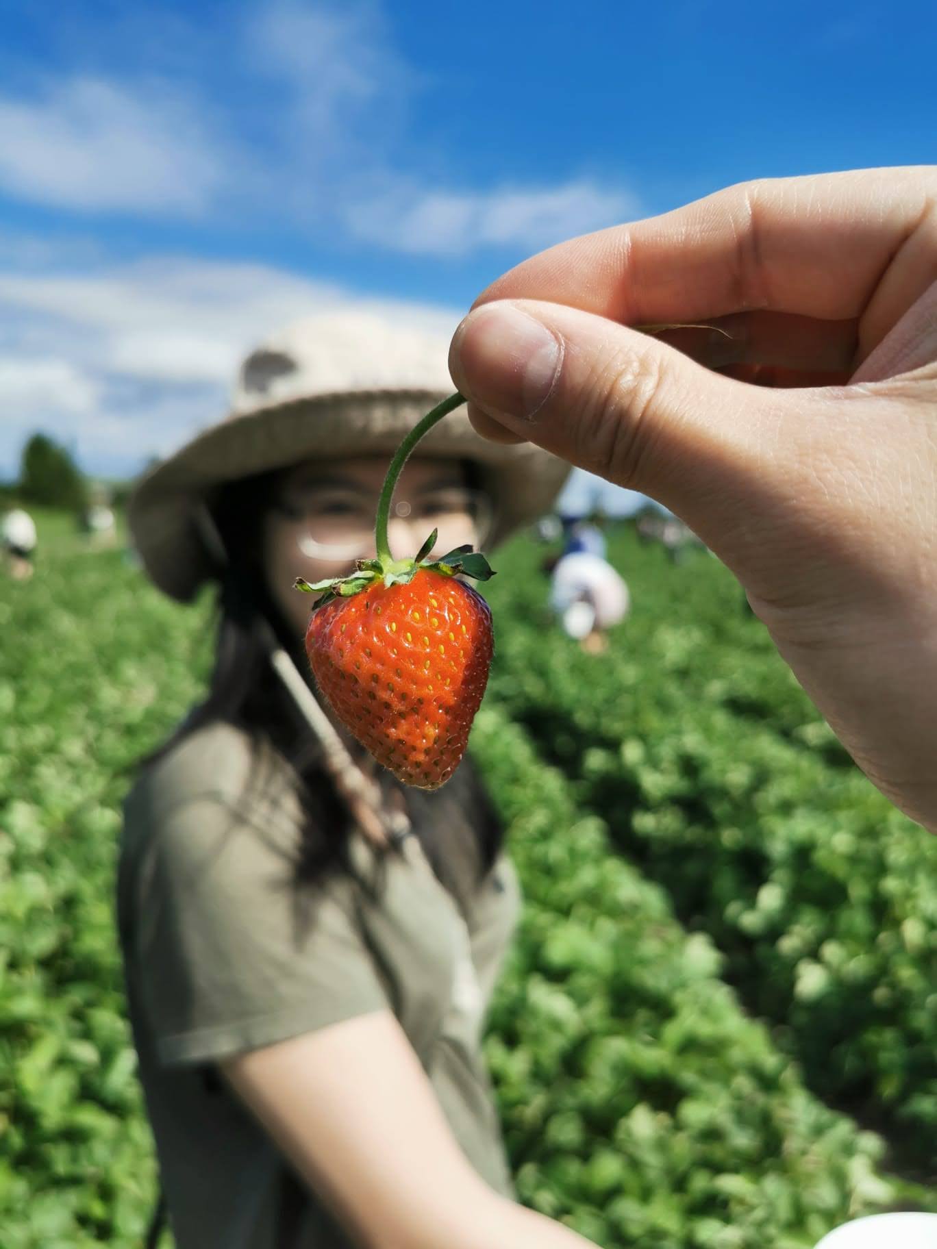 Homemade Aburi Sushi Recipe - Foodiiventure